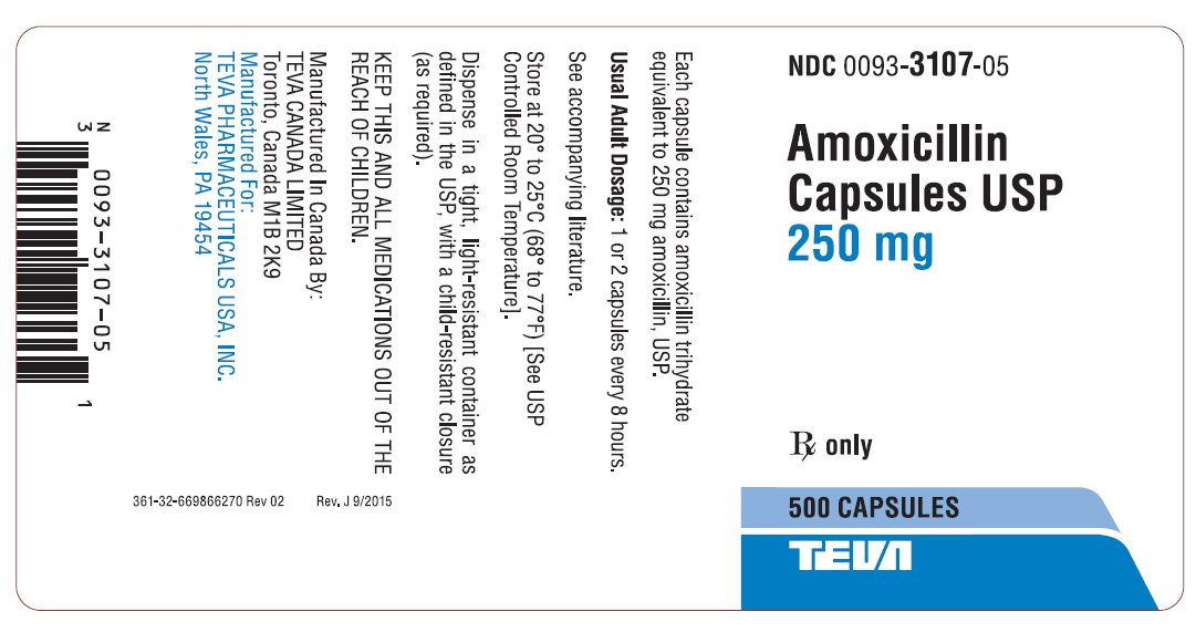 AMOXICILLIN 250MG - RX Products