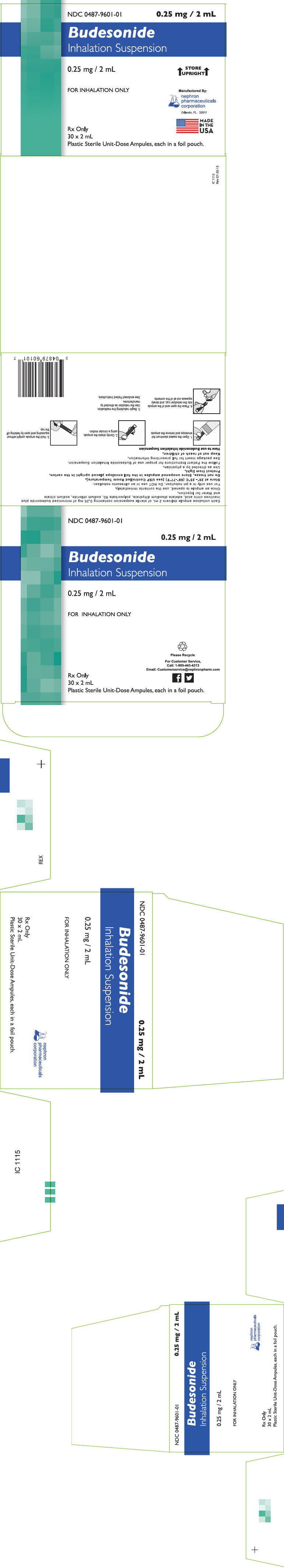 BUDESONIDE BARCODE .25MG/2ML - RX Products