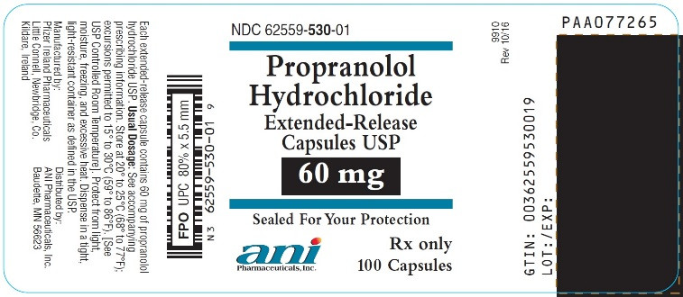 PROPRANOLOL HCL ER 60MG - RX Products